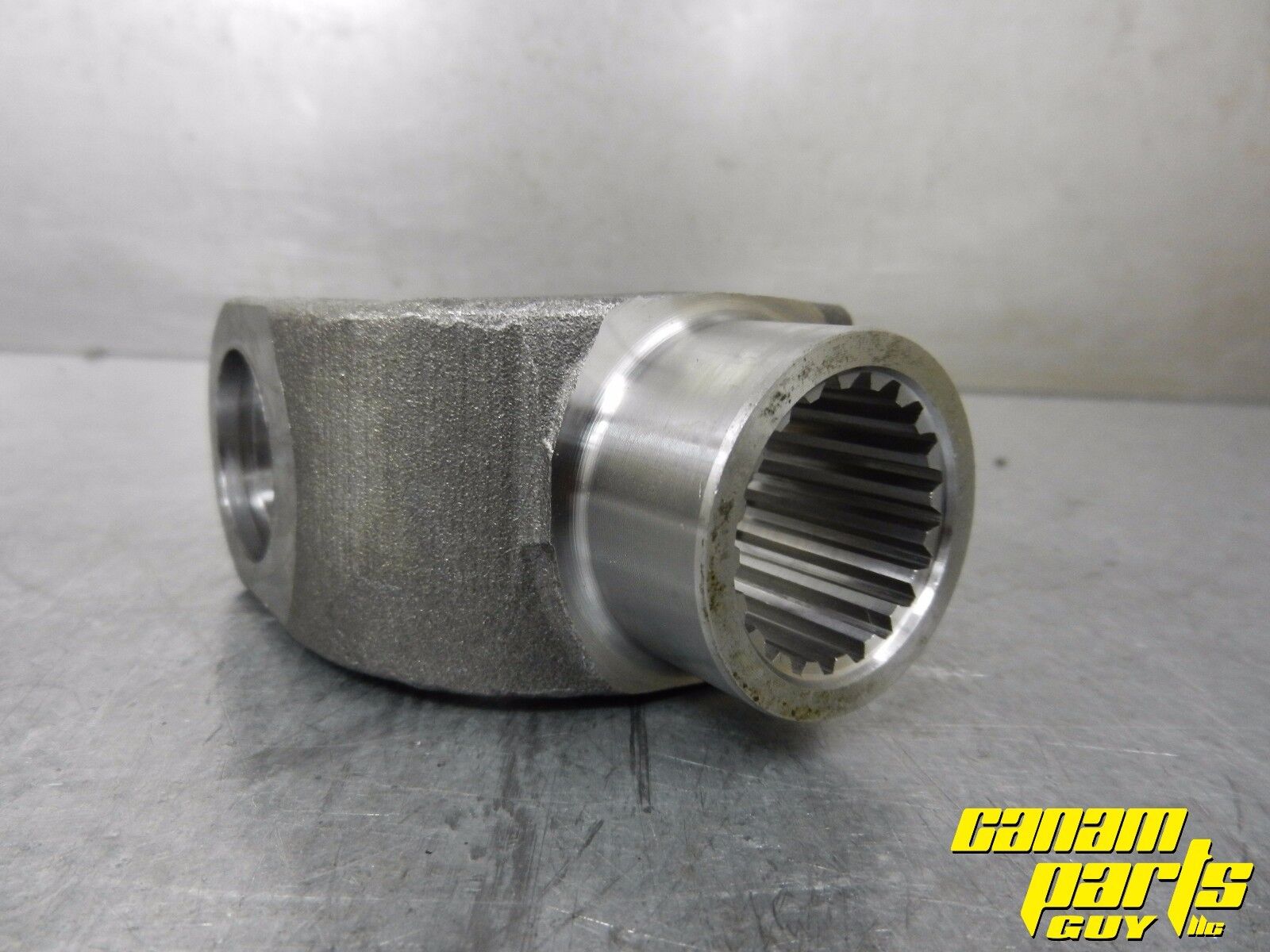 New OEM Stator Magneto Cover Gasket 420651201 - Canam Parts Guy