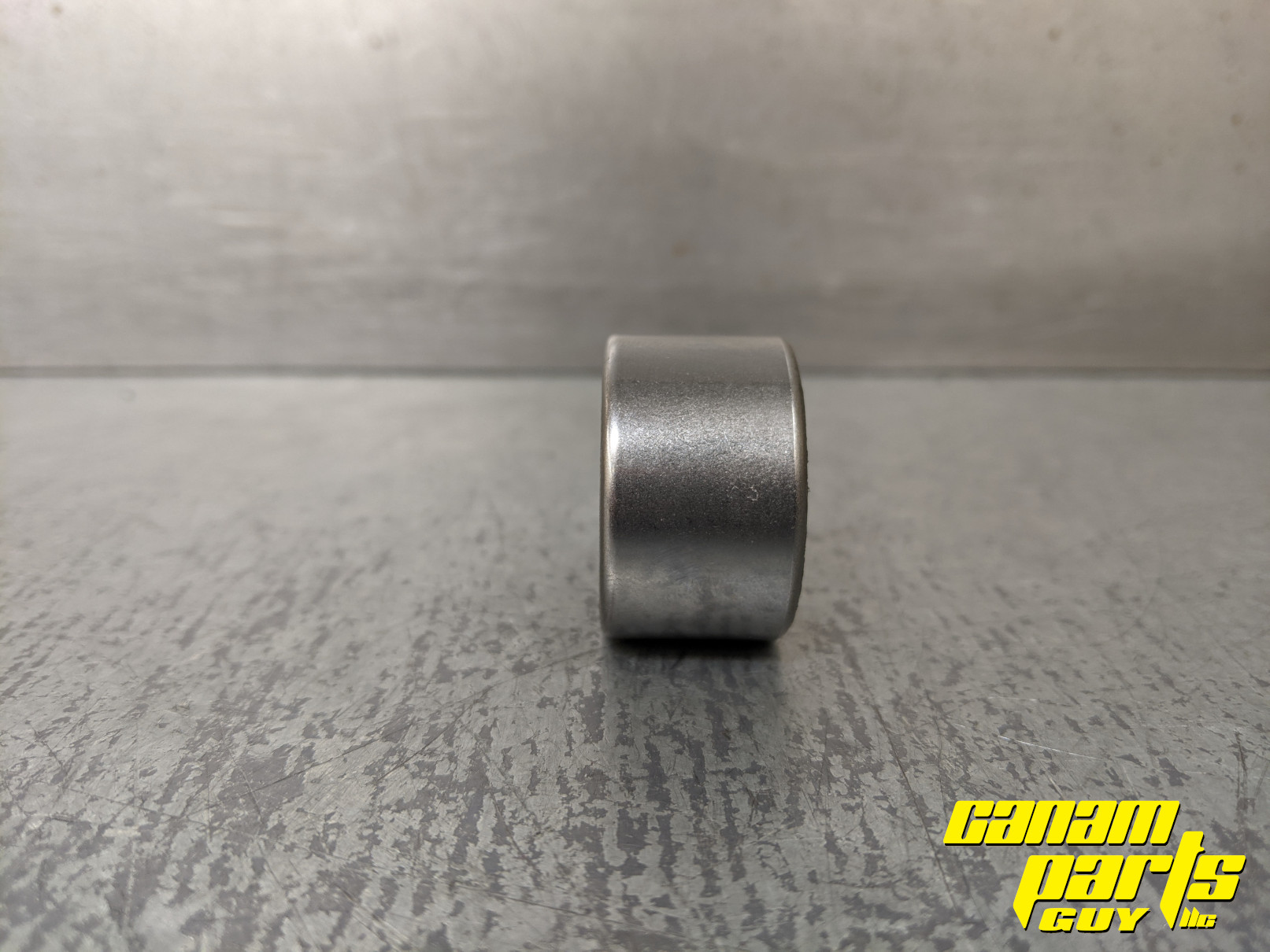 Maverick Rear Differential Pinion Needle Bearing - Canam Parts Guy