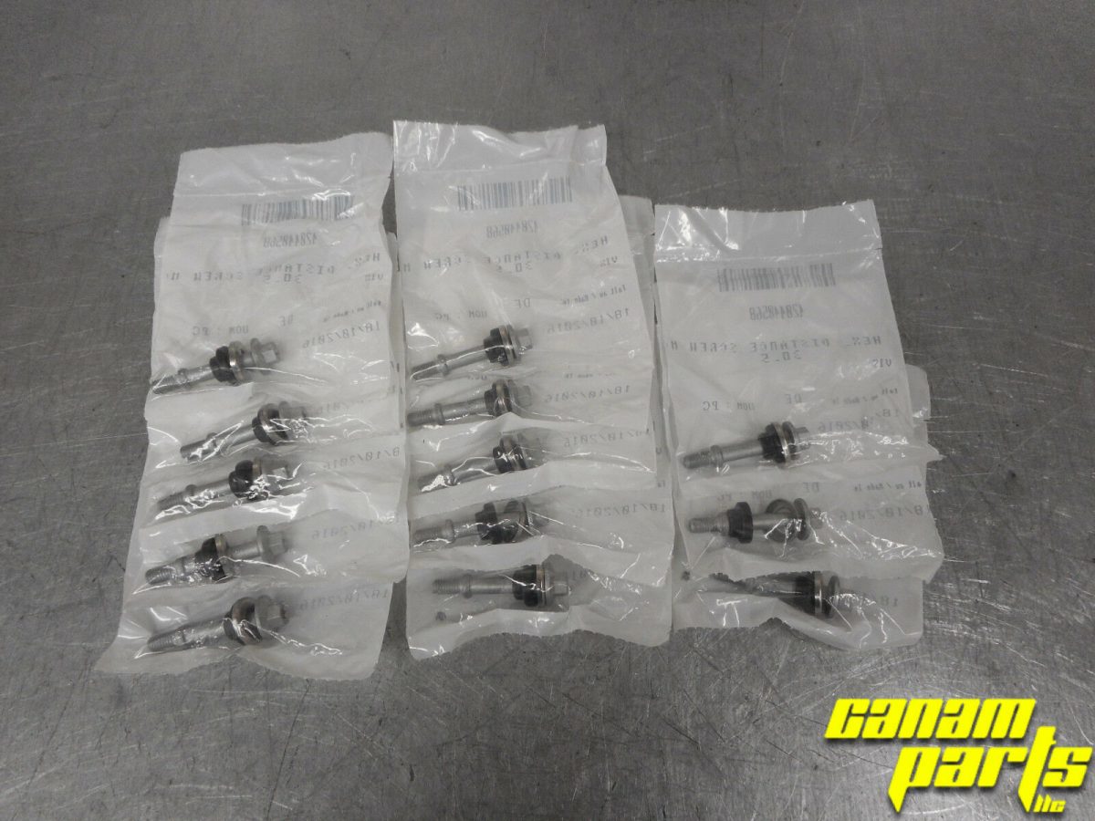 NEW OEM SET OF 13 HEX HEAD CVT Clutch Cover Bolts M6 X 30.5 – Canam ...